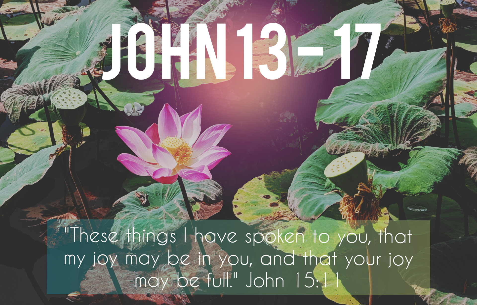 Sermon Series John 13 17 sermon-series-john-13-17
